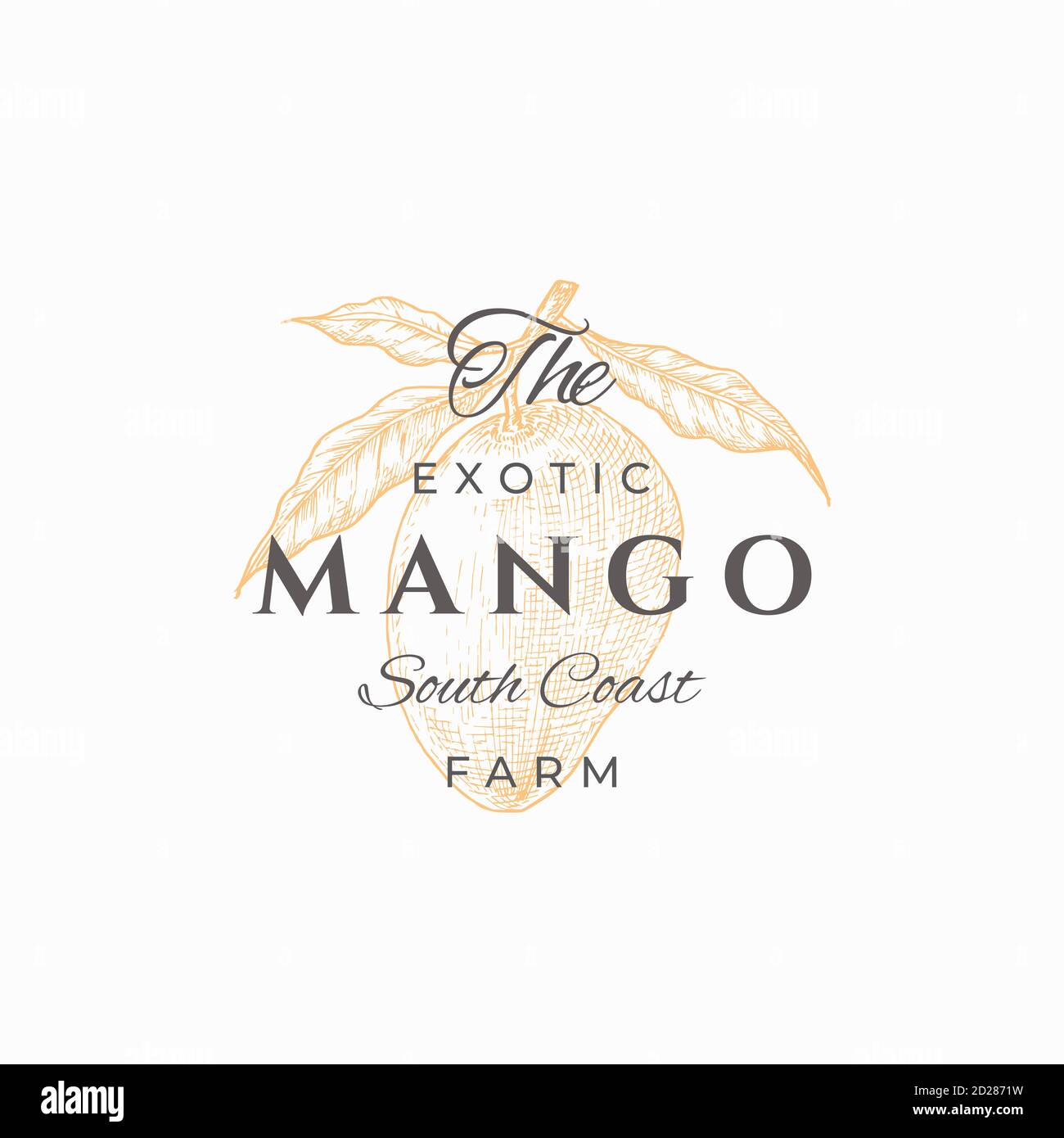 Mango fruit branch Stock Vector Images - Alamy