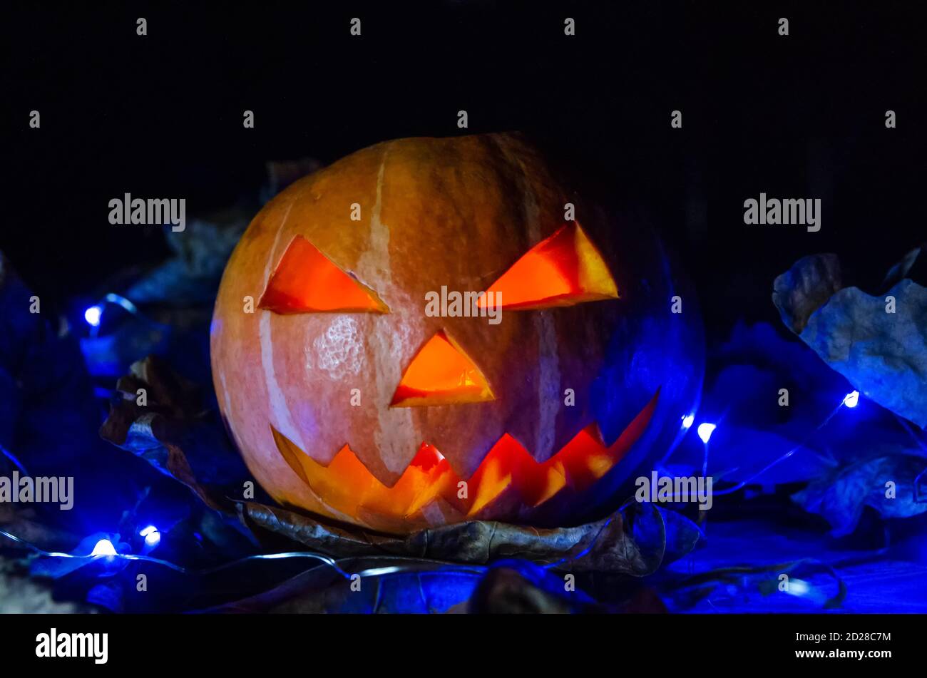 Glowing pumpkin in the dark close-up. concept of the Halloween ...