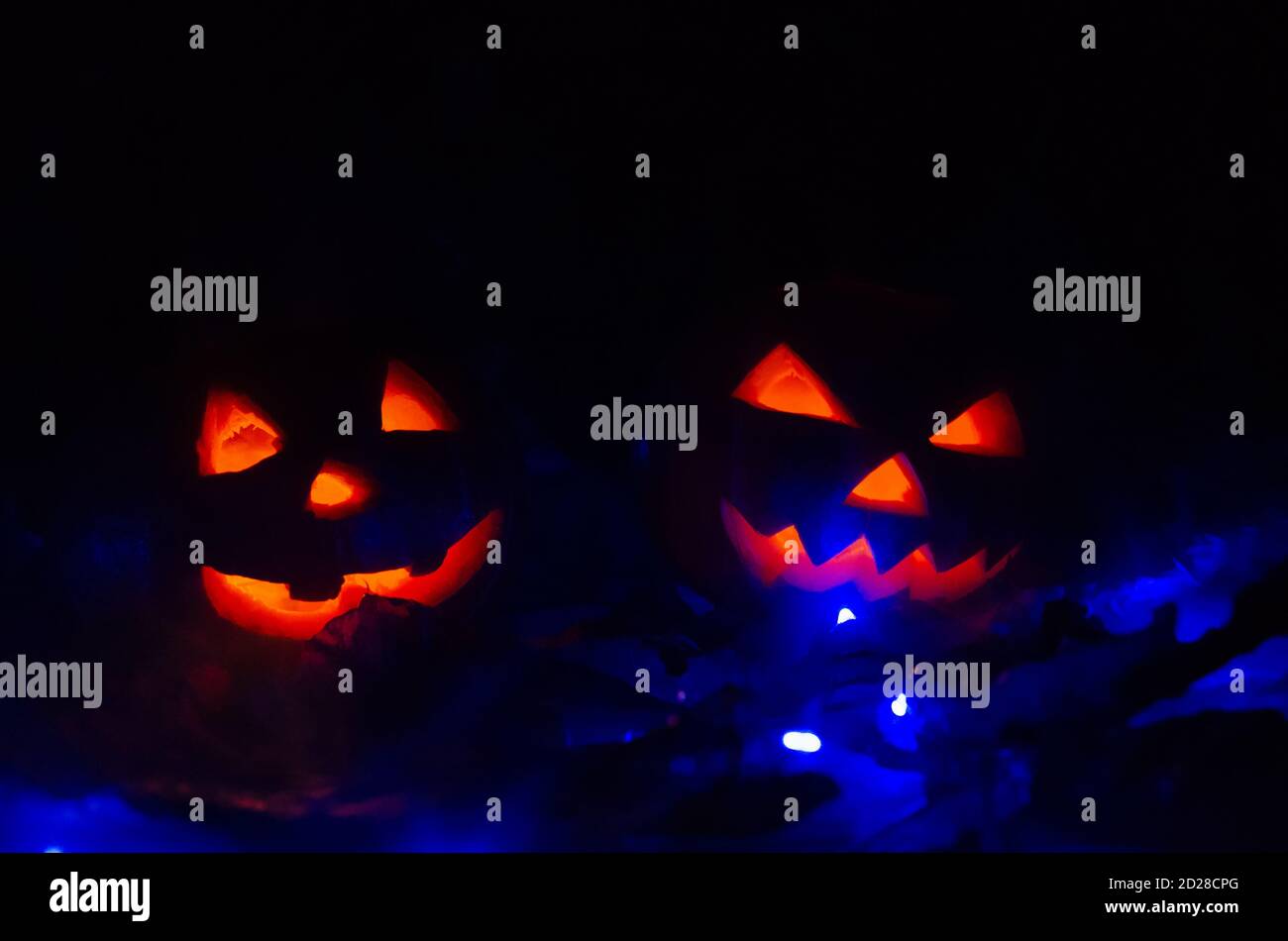 Scary two glowing pumpkins in the dark with a blue backlight close-up ...