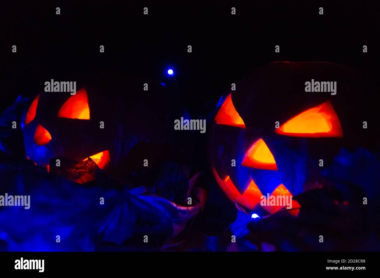 Scary two glowing pumpkins in the dark with a blue backlight close-up ...