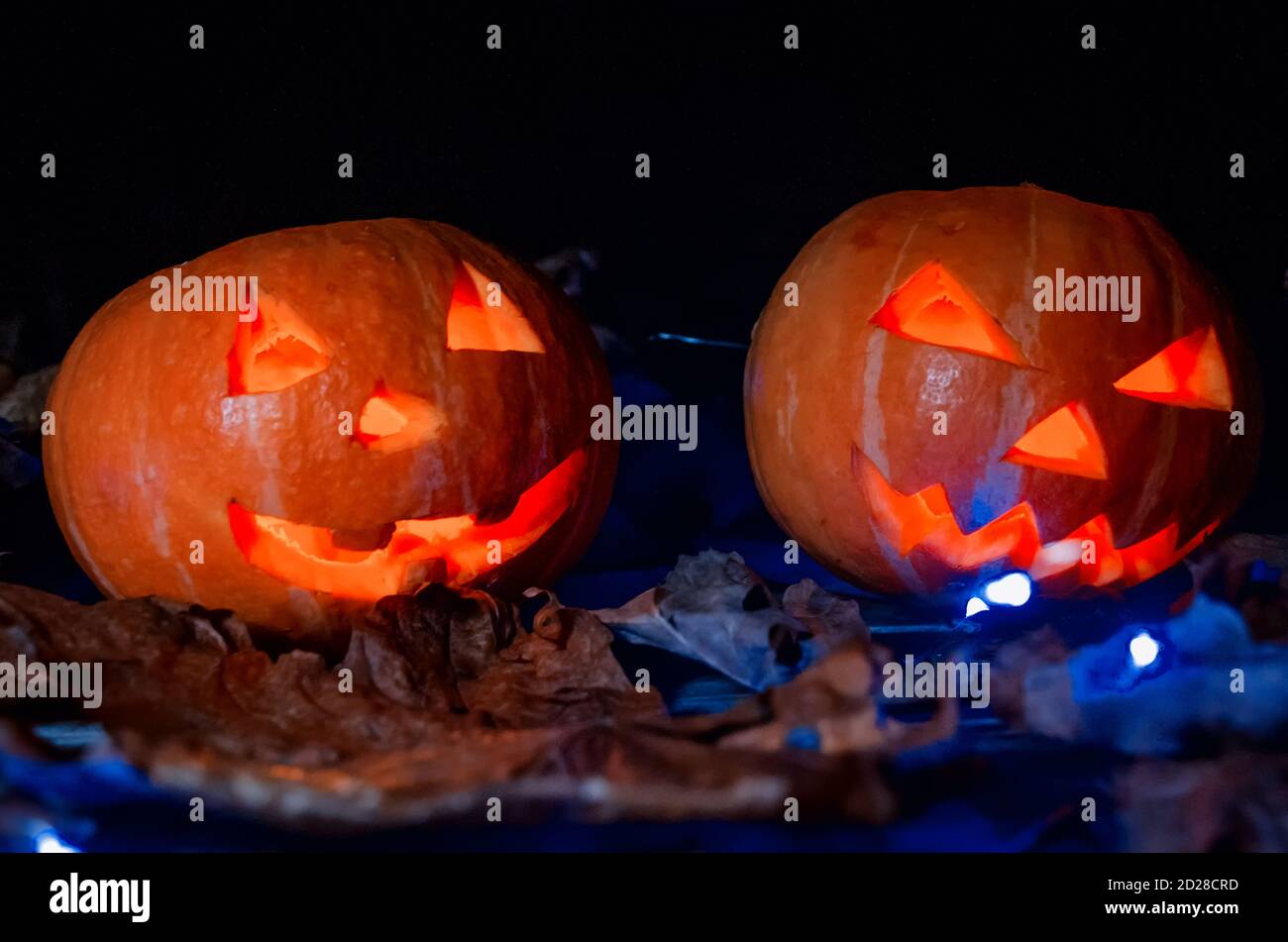 Scary two glowing pumpkins in the dark with a blue backlight close-up ...