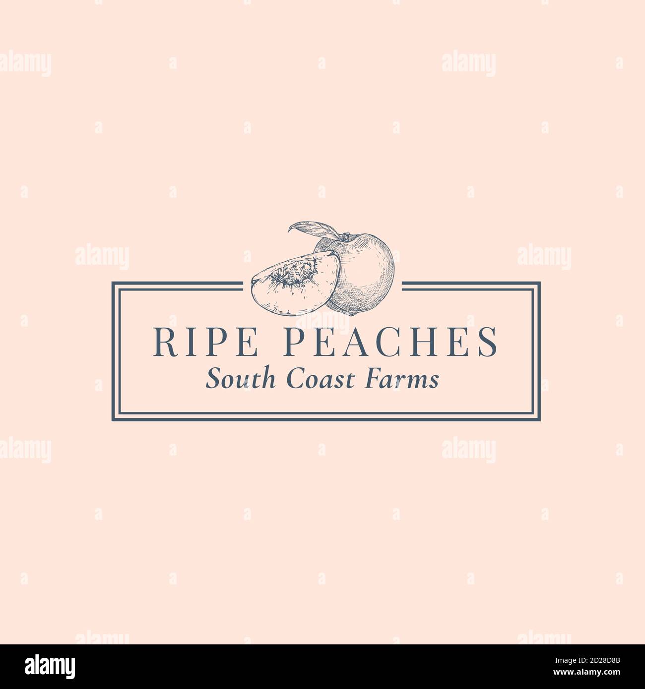 Peaches Abstract Vector Sign, Symbol or Logo Template. Hand Drawn ...