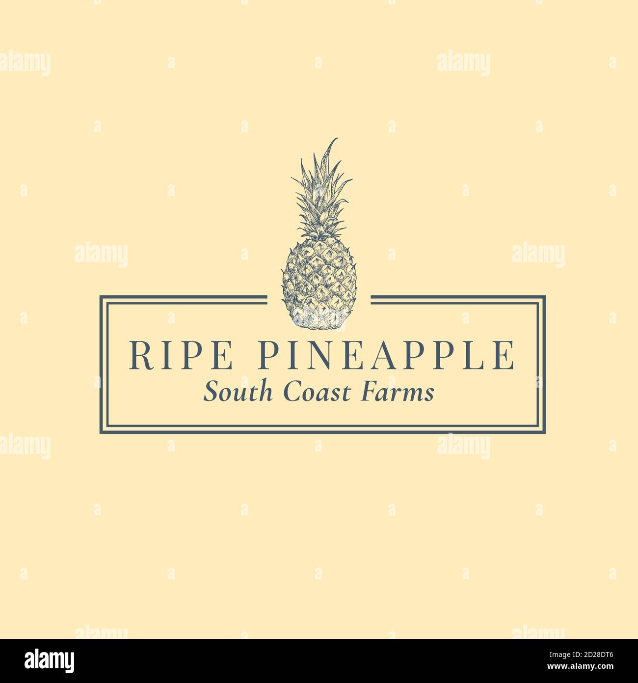 Pineapple Abstract Vector Sign, Symbol or Logo Template. Hand Drawn ...