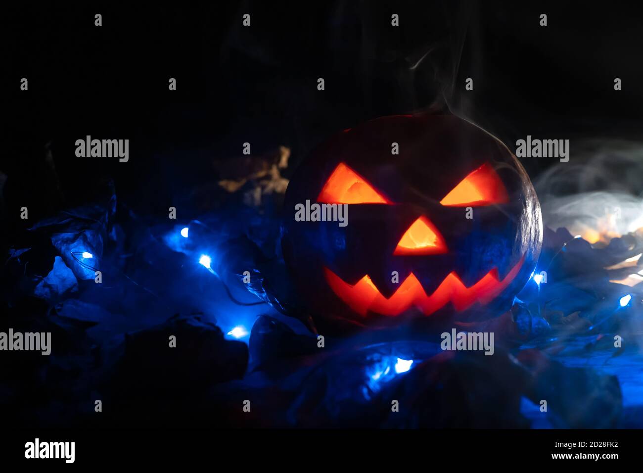 glowing pumpkin in the dark with blue lights and autumn leaves in the ...