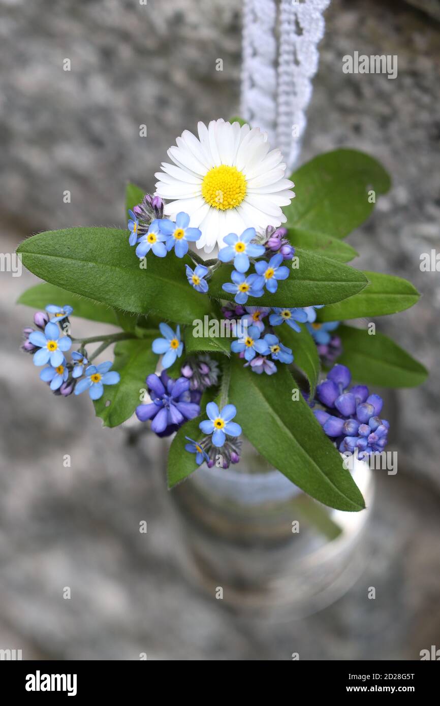 small bouquet of daisy and forget me not flowers in glass bottle Stock ...