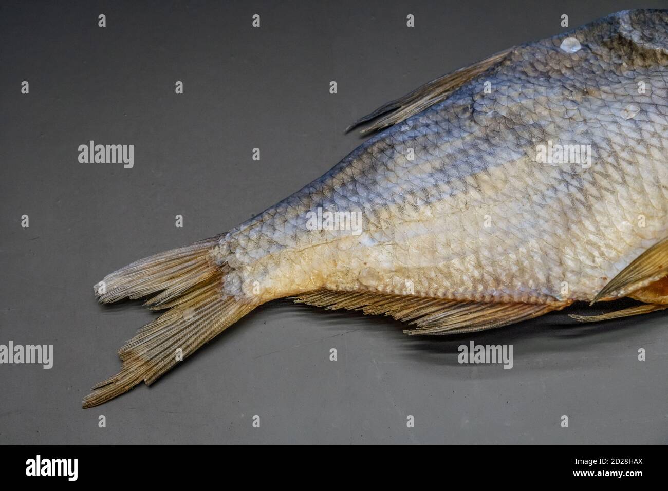 Tail of dried dried bream on a black background. Fish dried bream. Beer ...