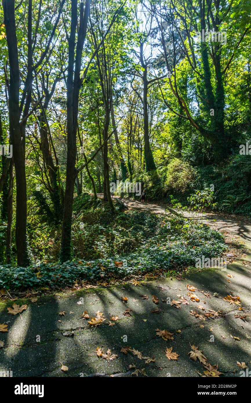 A walkway in Normandy Park, Washington Stock Photo - Alamy