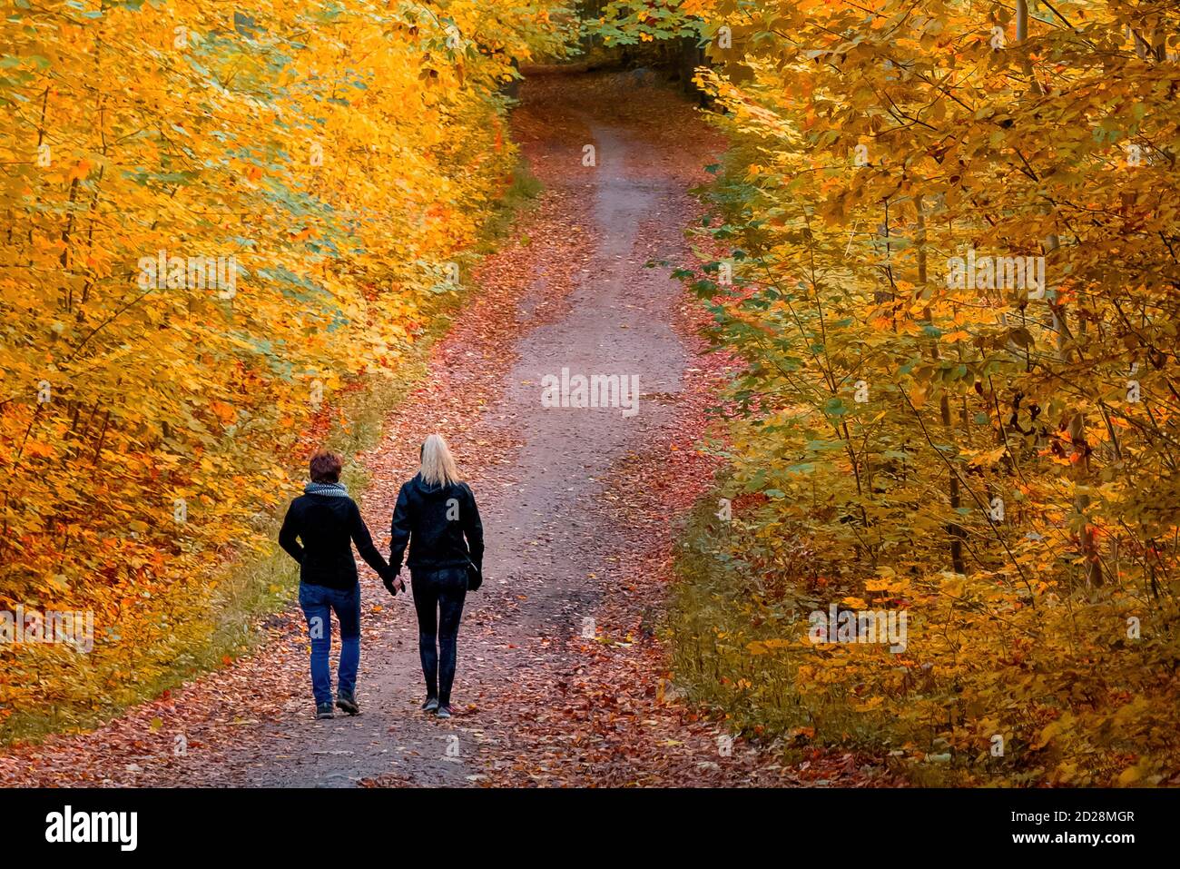 Color for adults hi-res stock photography and images - Alamy
