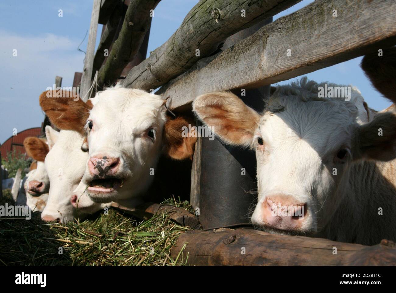 Russia farming village hi-res stock photography and images - Alamy