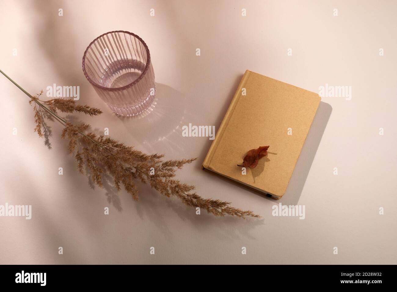 Glass of water with diary ob pastel biege background Stock Photo - Alamy