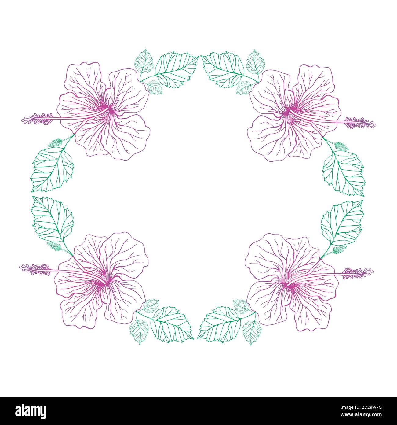 Hibiscus flower pink color, vintage frame background Stock Vector Image ...
