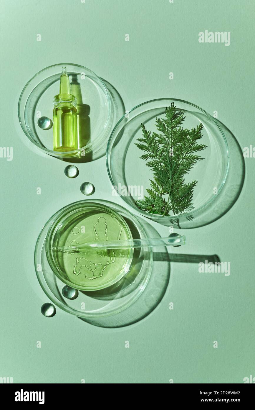 Abstract cosmetic laboratory. Chemical laboratory research. Nature ...