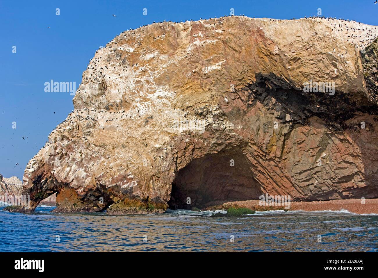 Ballestas Islands, Paracas National Reserve in Peru Stock Photo - Alamy