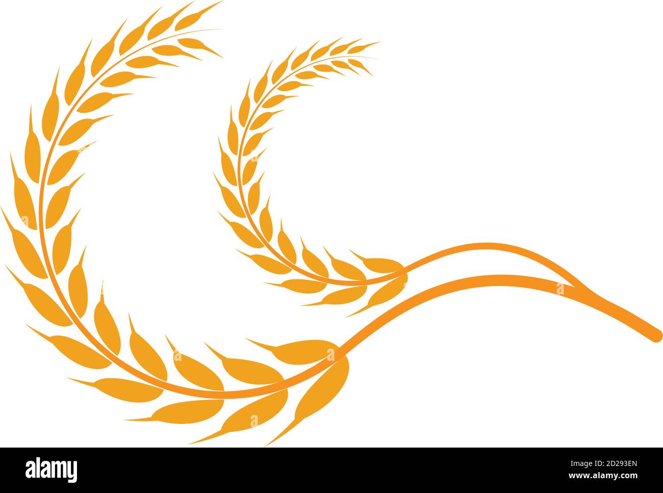 Agriculture wheat Logo Template vector icon design Stock Vector Image ...