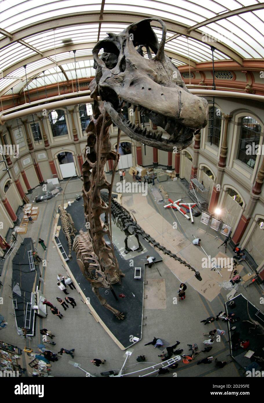 Brachiosaurus Skeleton High Resolution Stock Photography and Images - Alamy