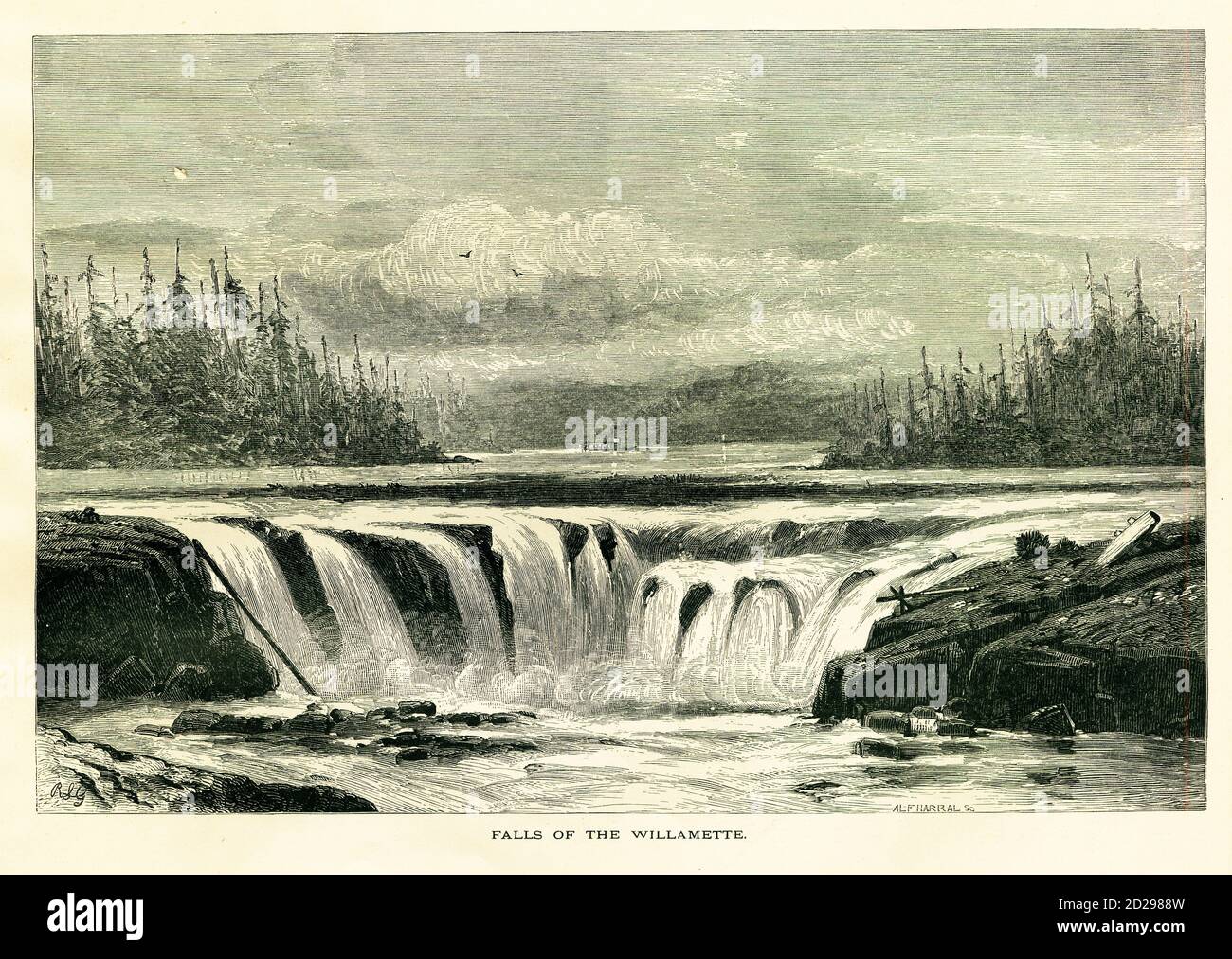 19th-century illustration of Willamette Falls, Oregon, the second ...