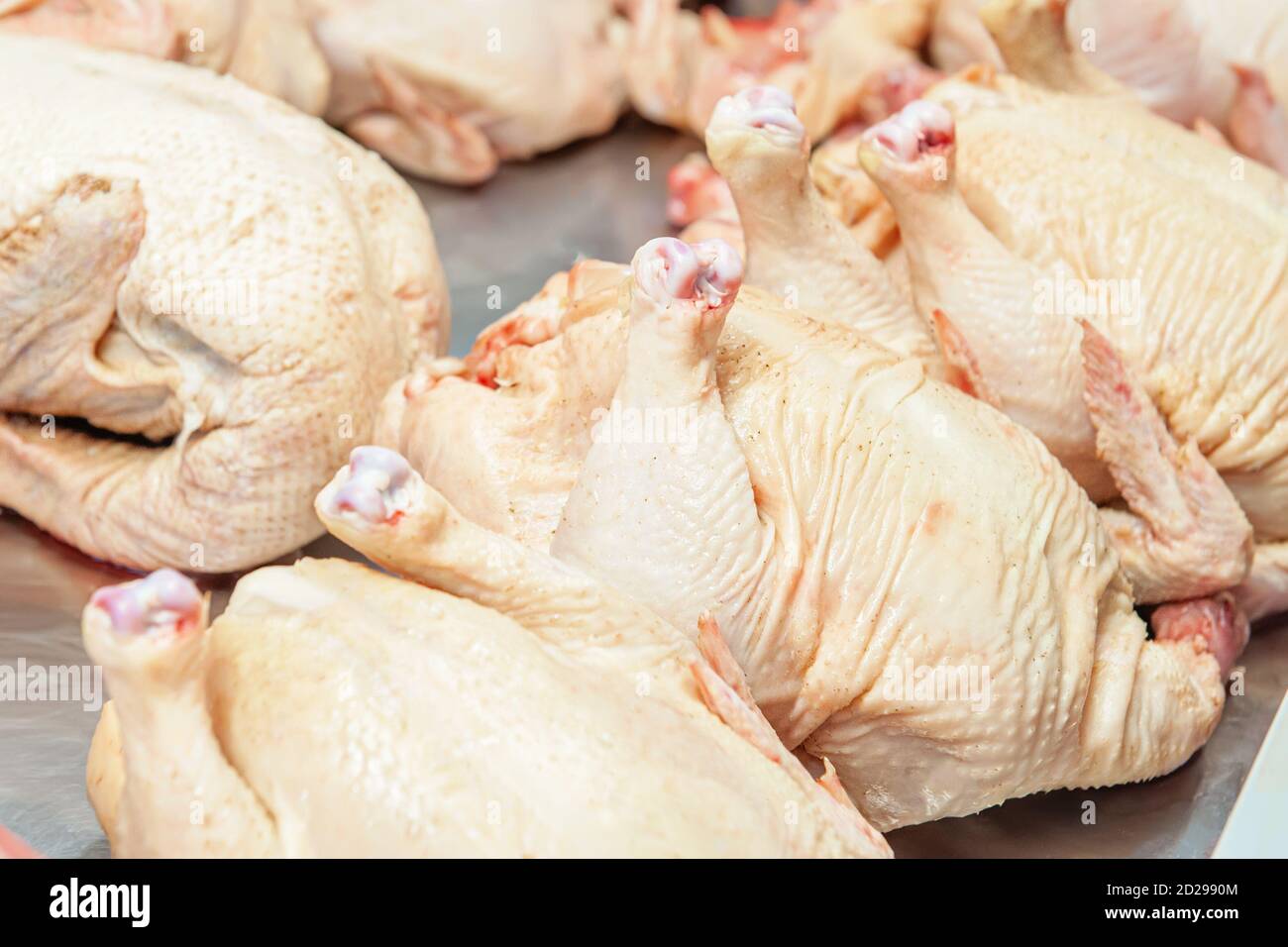 Poultry counter hi-res stock photography and images - Alamy