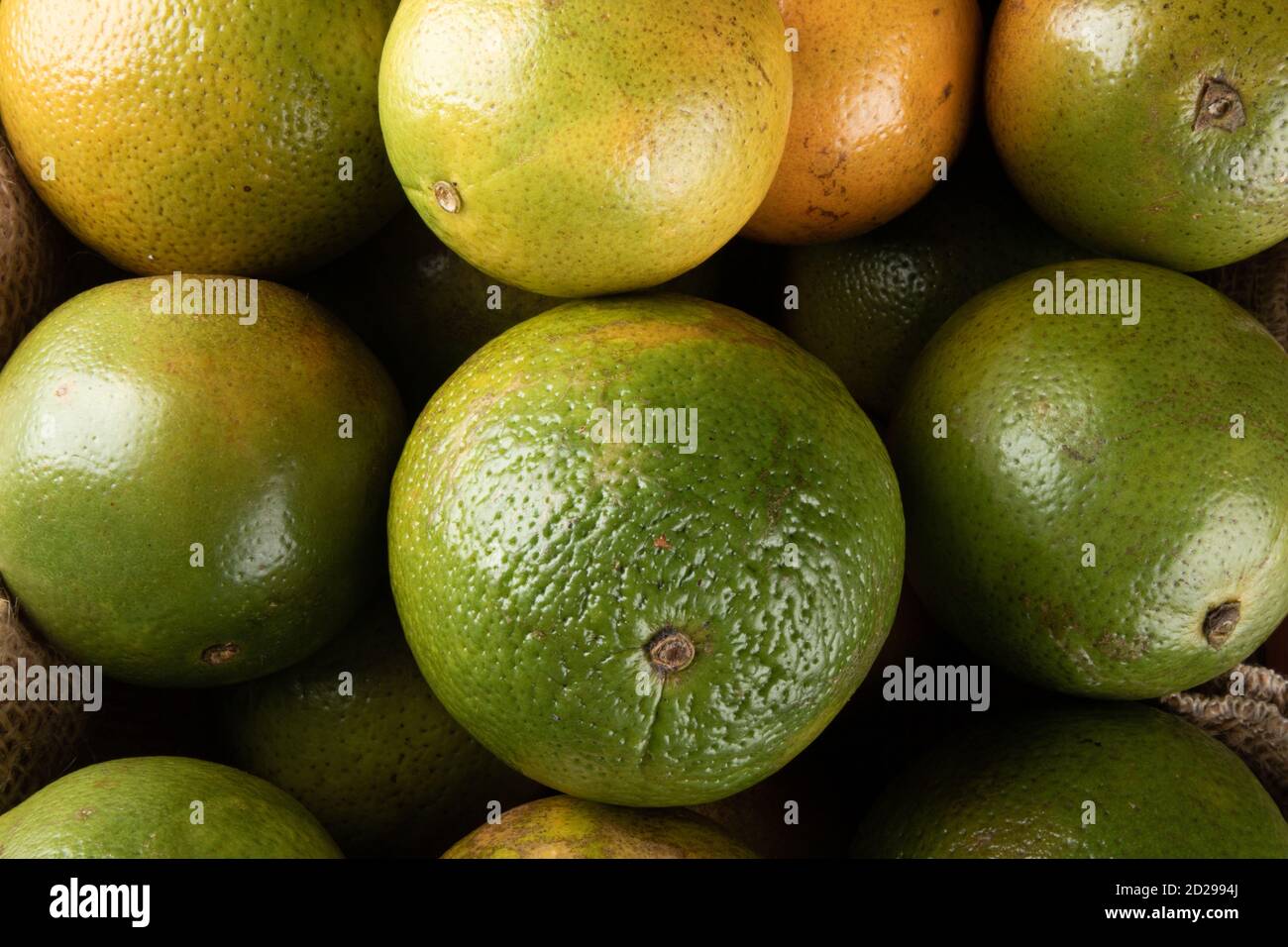 Orange fruit closeup. Fresh fruits. Tropical fruits Stock Photo - Alamy