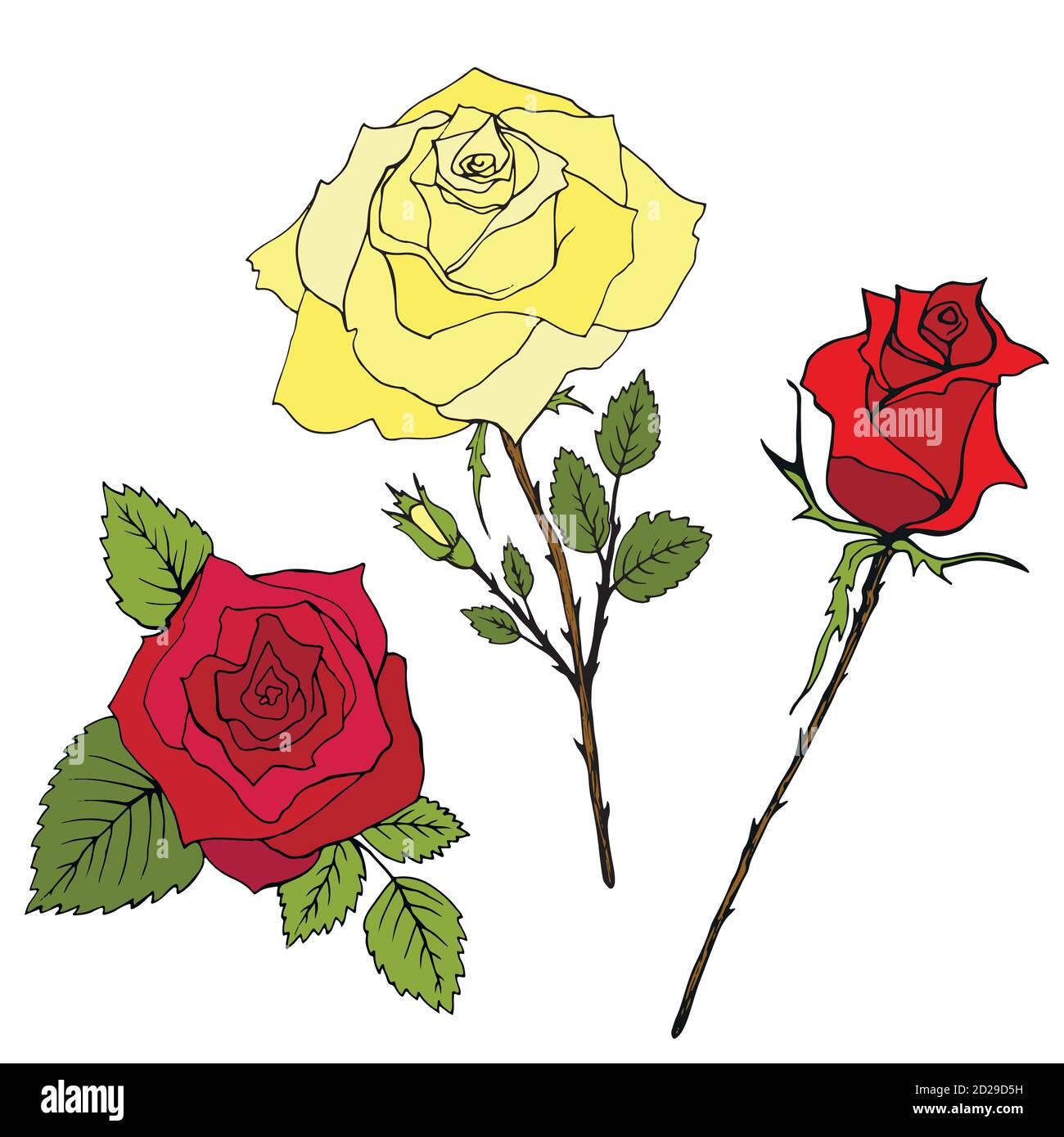 Collection of flowers of the rouse. Isolated pattern Stock Vector Image ...