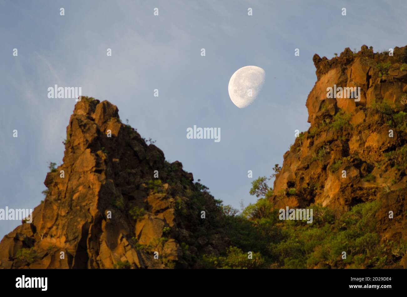 Moon over a cliff at dawn. Guayadeque ravine. Guayadeque Ravine Natural ...