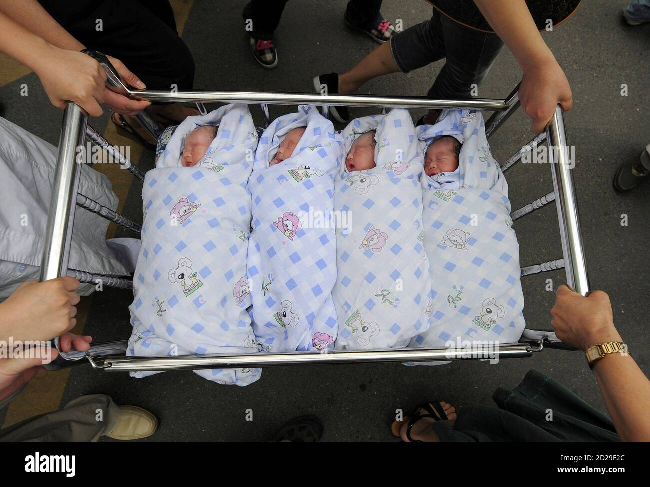 Quadruplets High Resolution Stock Photography and Images - Alamy