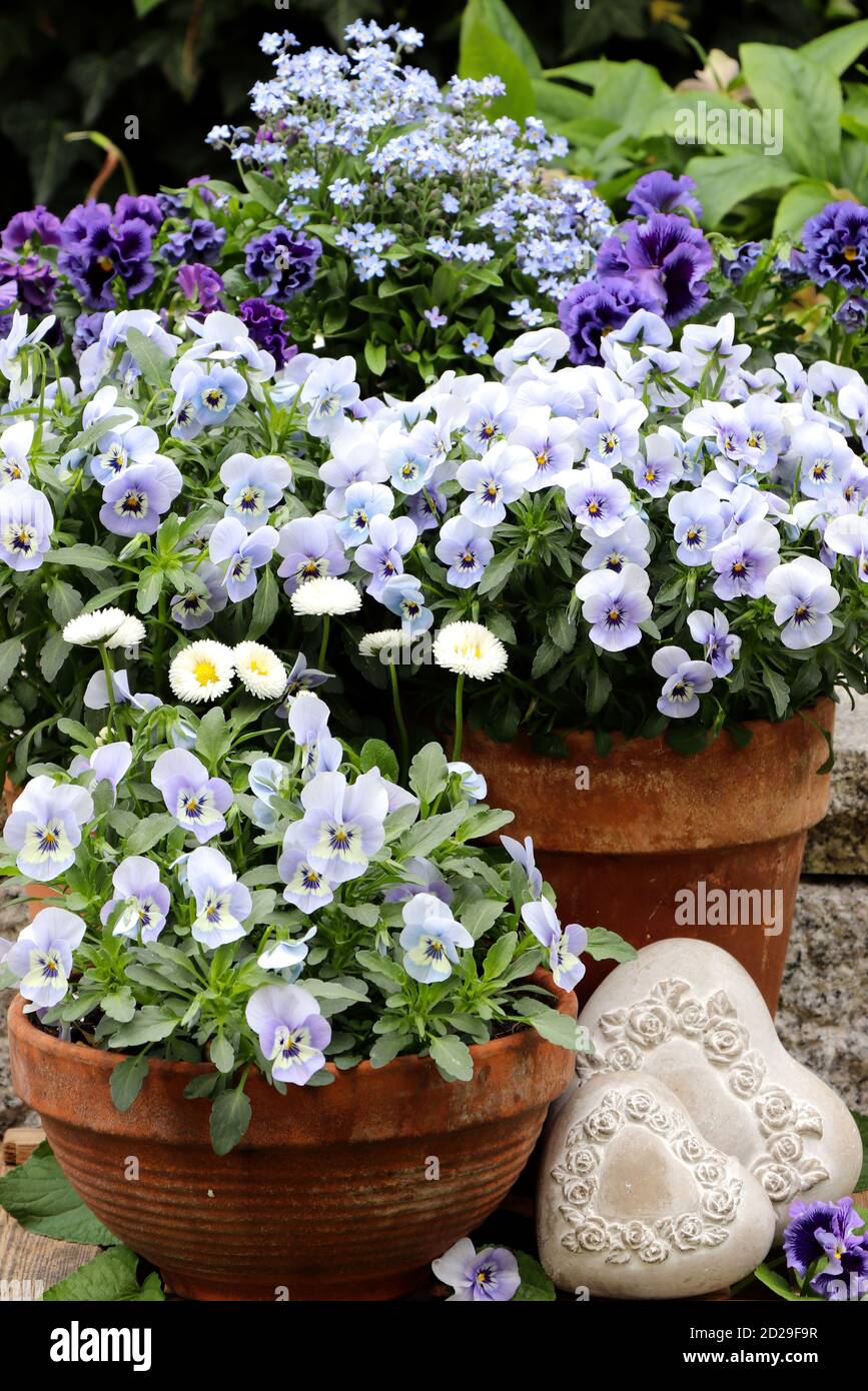 Pots in garden hi-res stock photography and images - Alamy