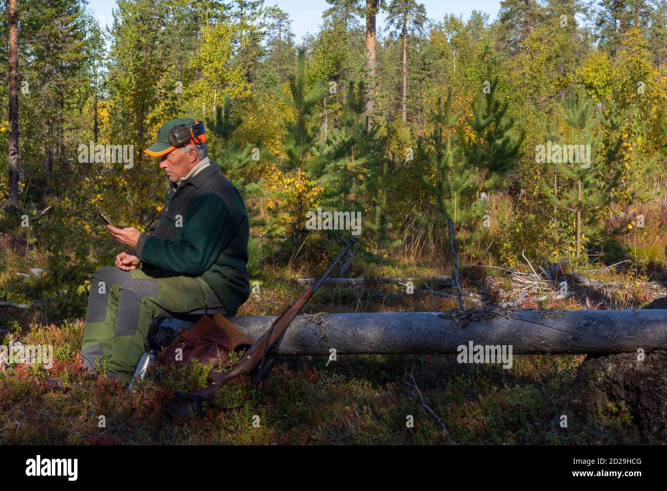 Male moose hunter sitting on a fallen tree looking at his smarthphone ...