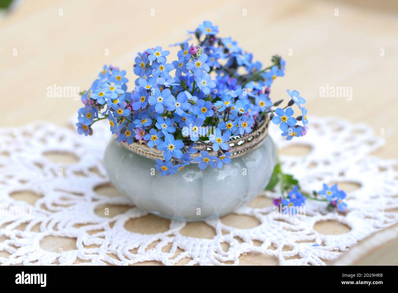 Blue forget me not shade hi-res stock photography and images - Alamy