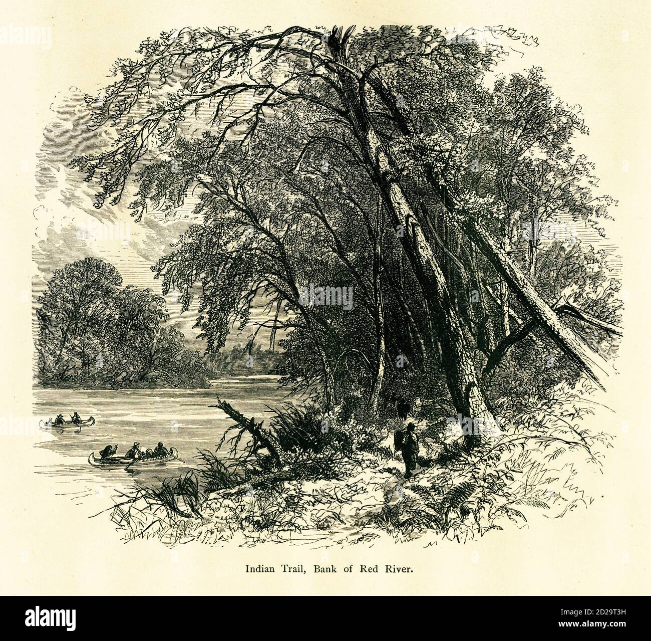 Antique engraving of the Red River of the North, which flows through ...