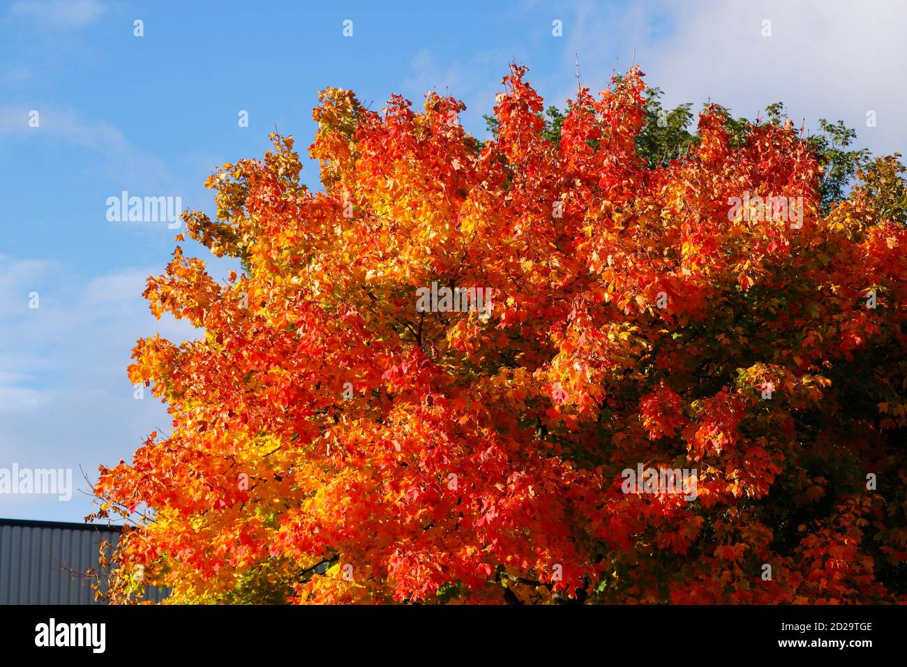 Changing colour hi-res stock photography and images - Alamy