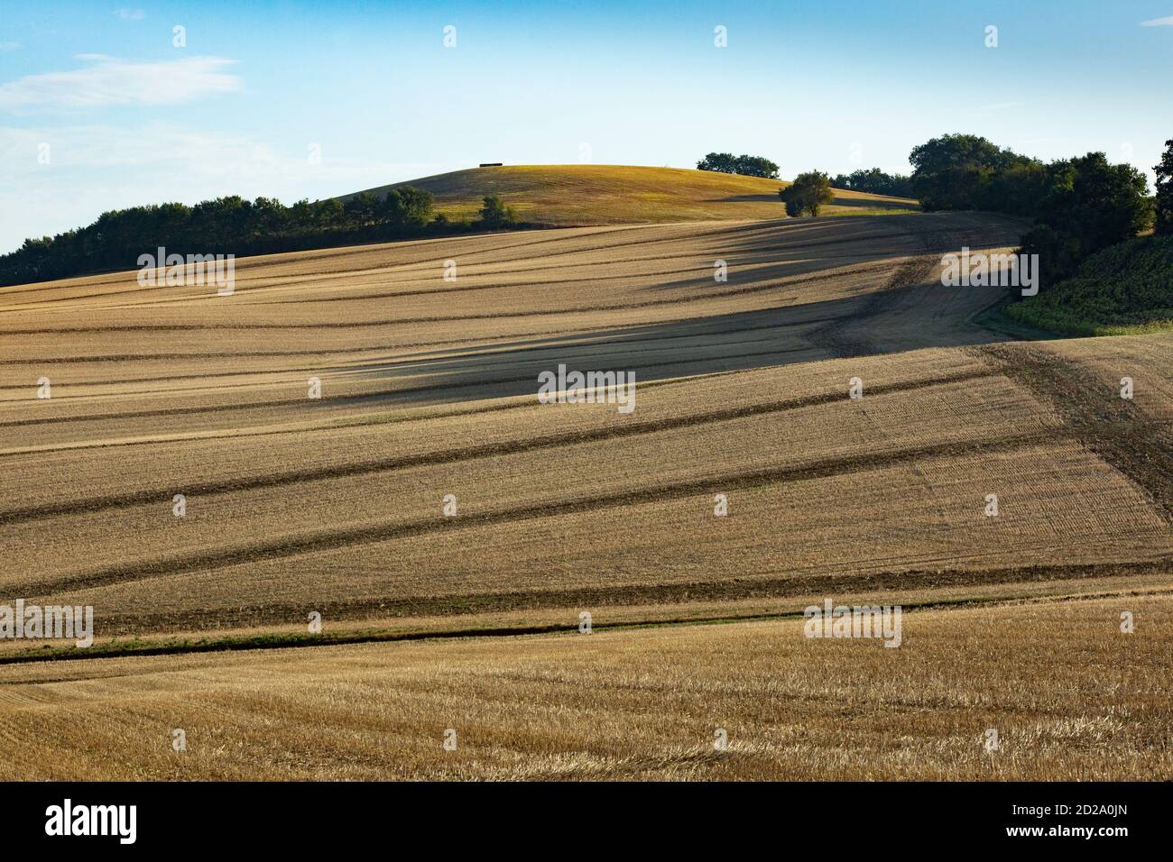A farming landscape of gently rolling hills that are typical of The ...