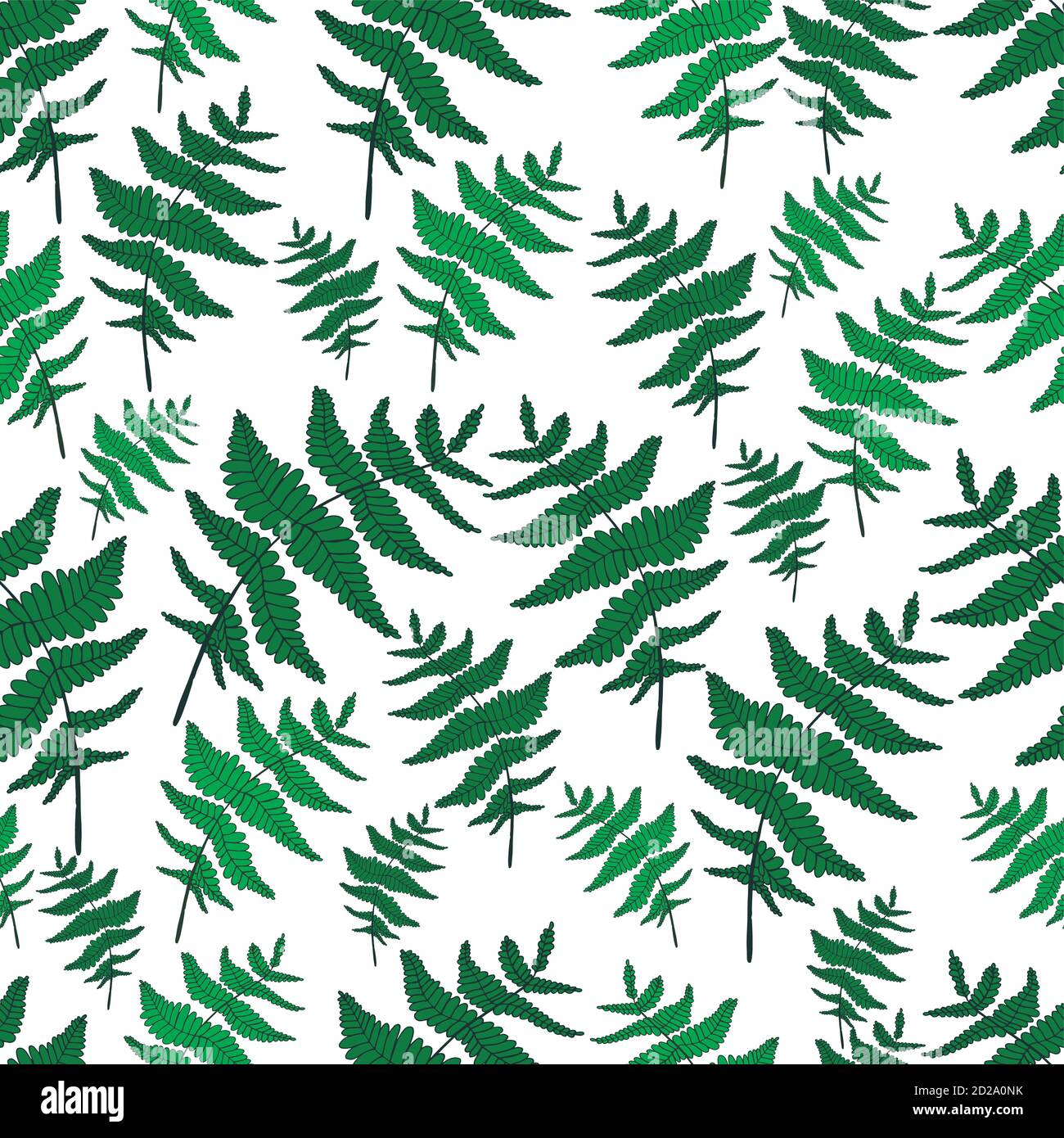 Green fern leaf seamless wild forest pattern white background Stock ...