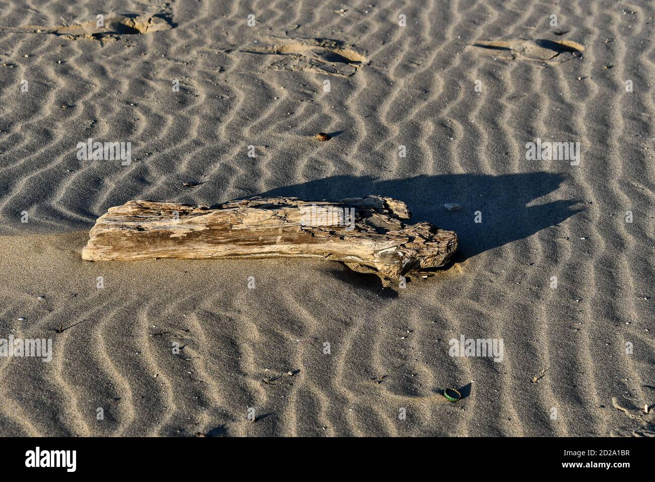 fish in sand, digital photo picture as a background Stock Photo - Alamy