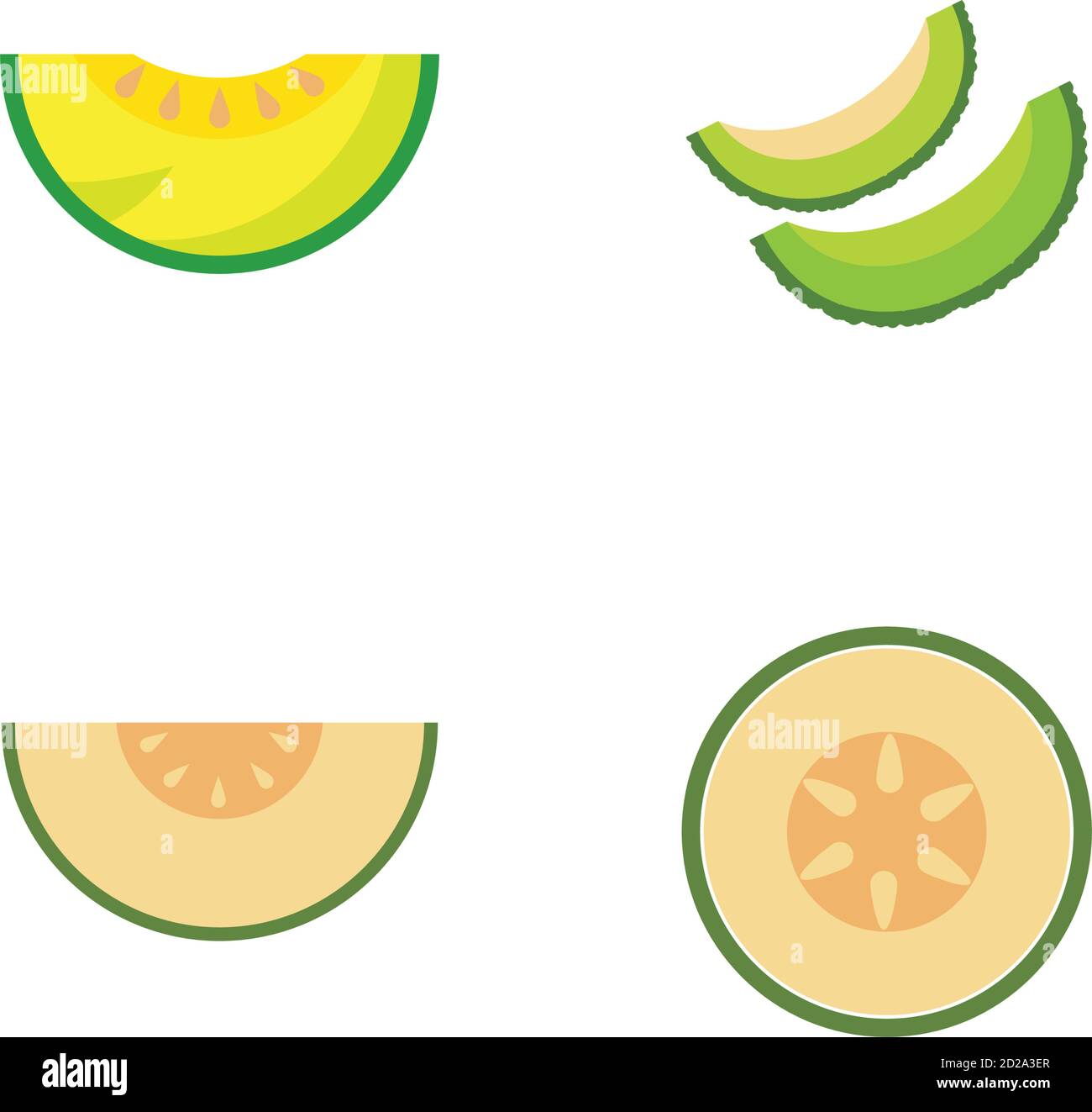 melons logo vector template illustration design Stock Vector Image ...