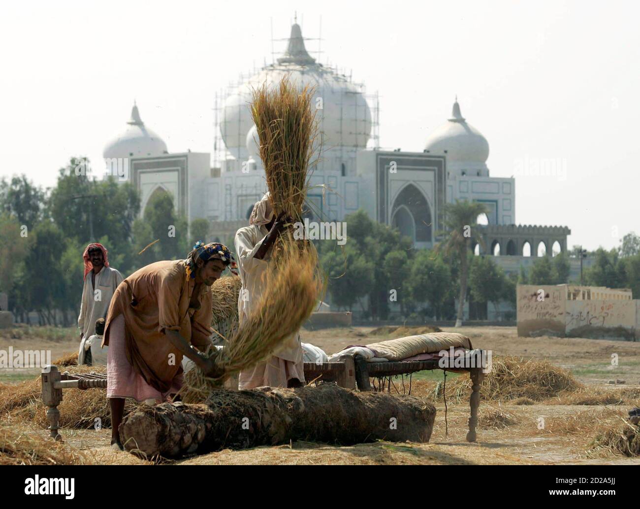 Pakistani farmers hi-res stock photography and images - Alamy