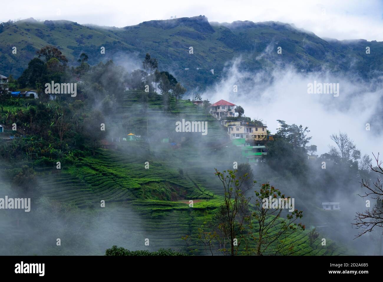 Munnar Hill Station in Kerala covered with Fog Stock Photo - Alamy