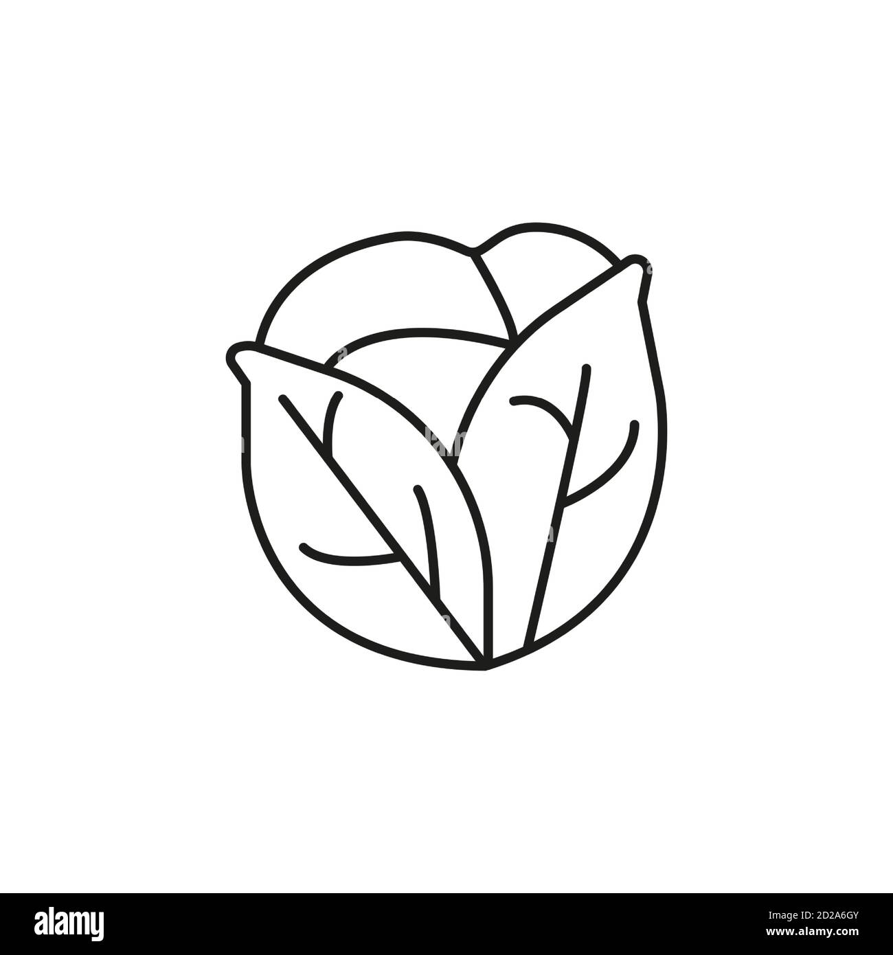 cabbage icon element of vegetables icon for mobile concept and web apps ...