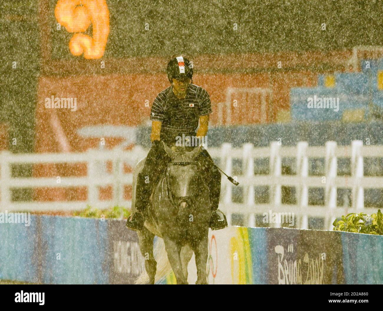 Eventing rider hi-res stock photography and images - Alamy