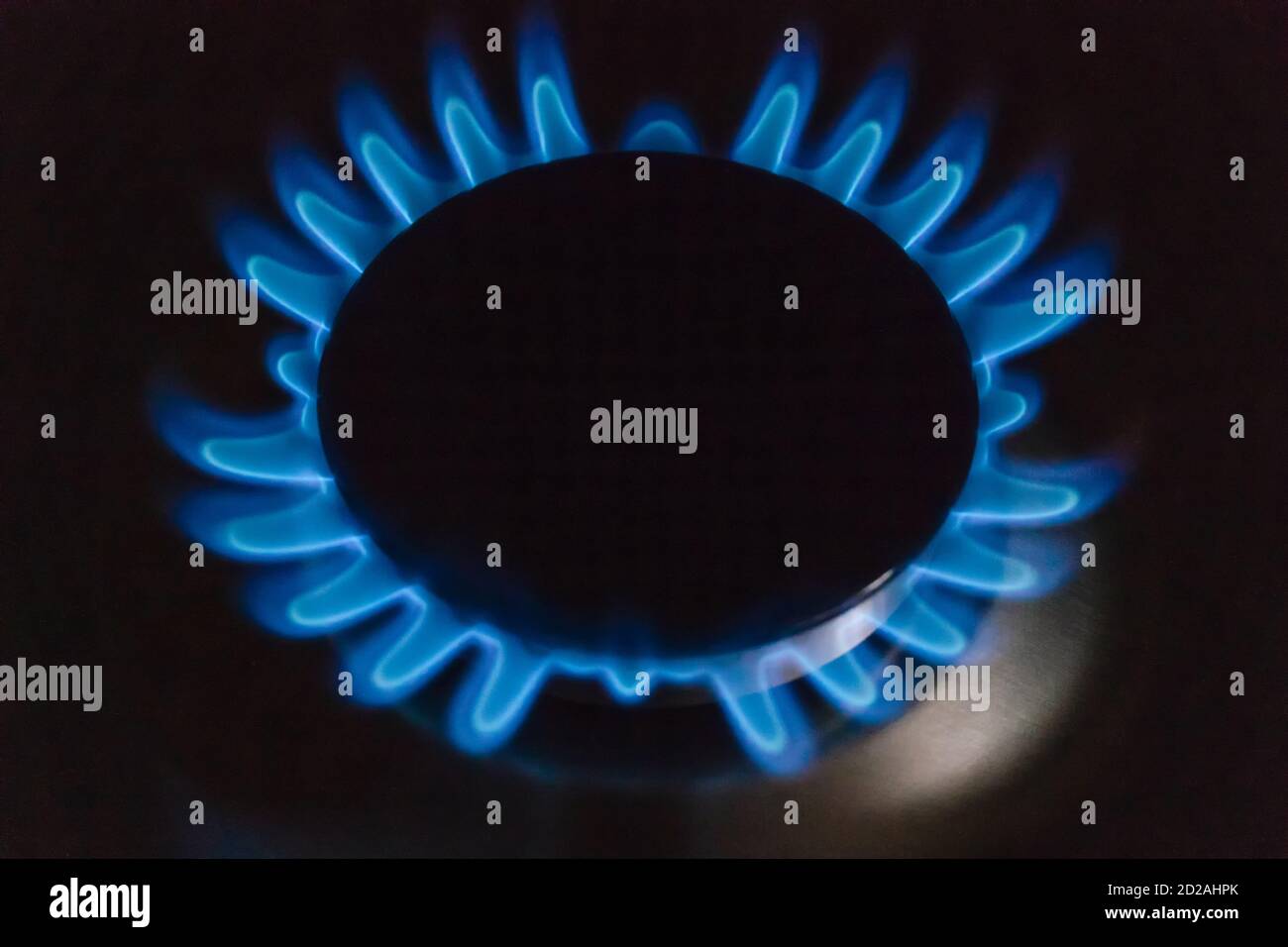 blue gas flame close up on the gas stove Stock Photo - Alamy