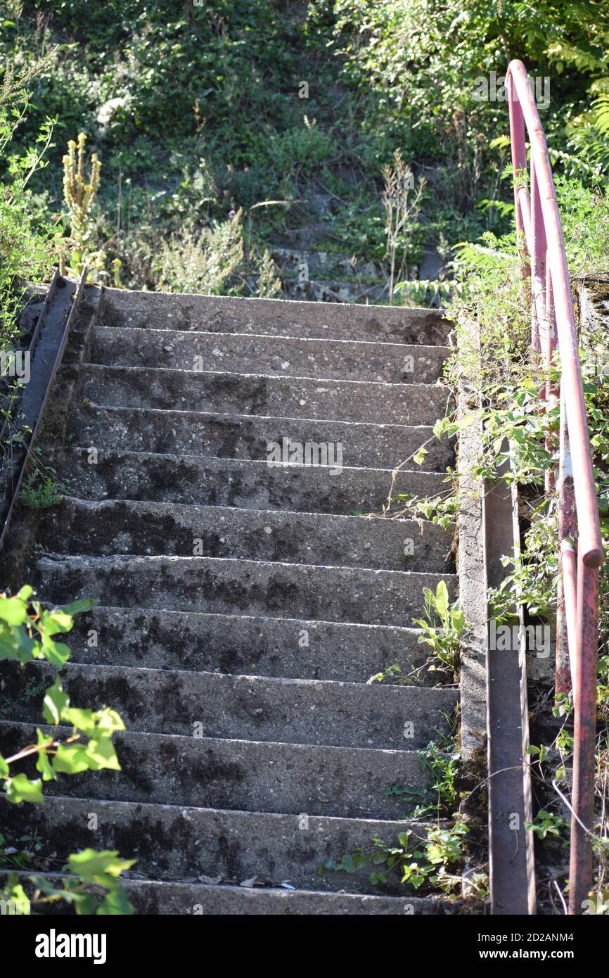 Stepstone hi-res stock photography and images - Alamy