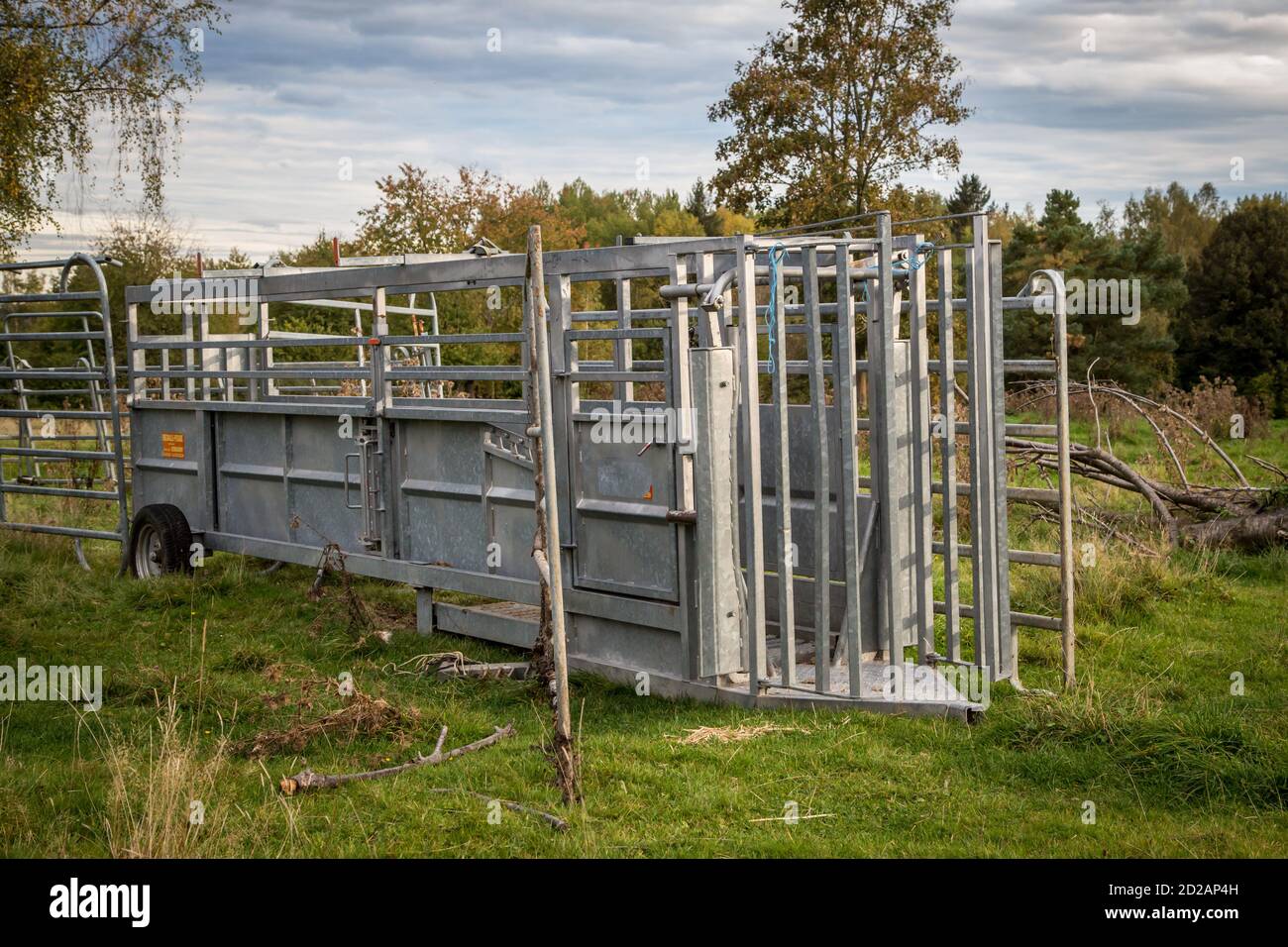 Cattle chute hi-res stock photography and images - Alamy