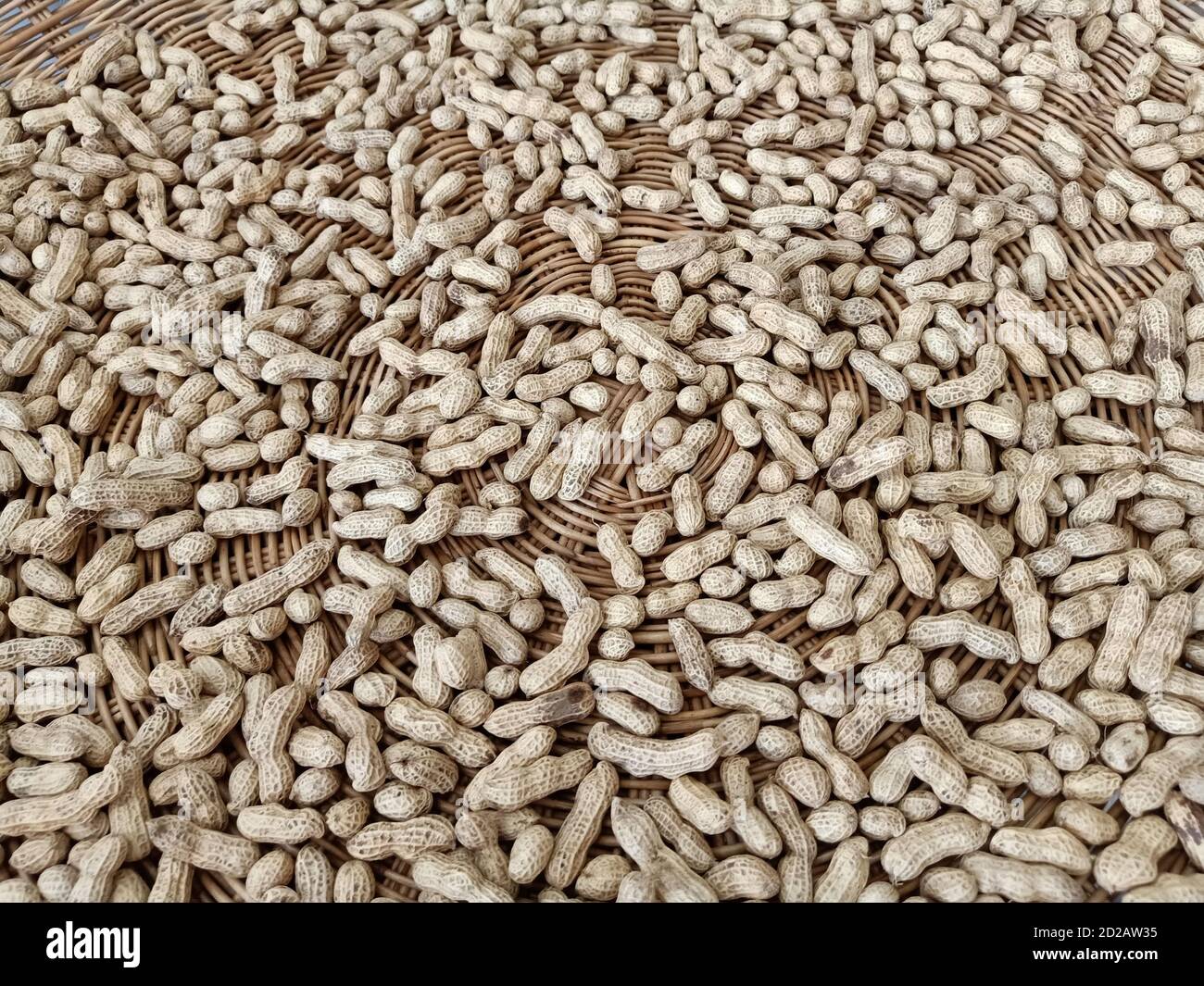 Drying peanuts hi-res stock photography and images - Alamy