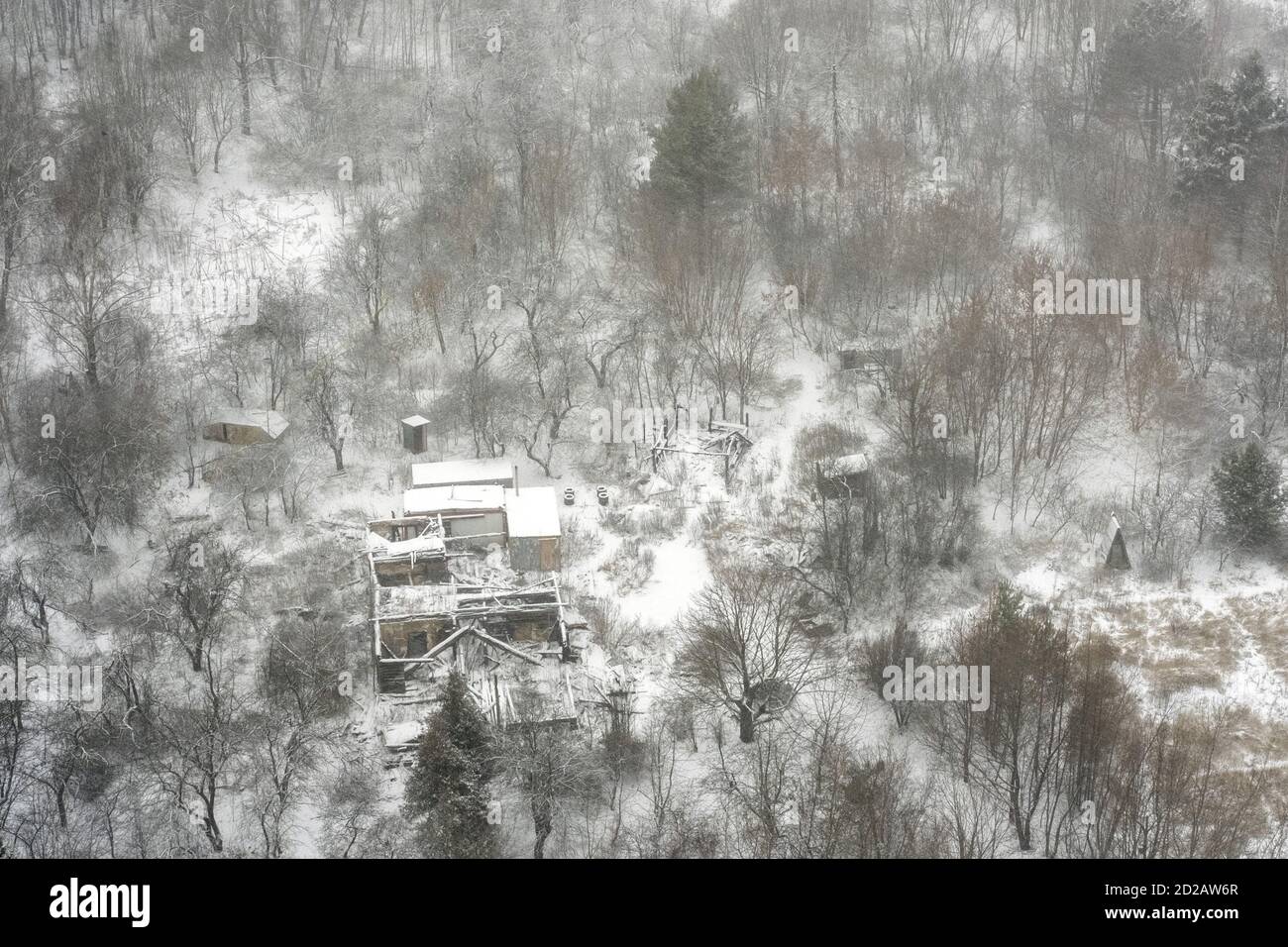 Snow blizzard over a ruined old house in the forest Stock Photo - Alamy