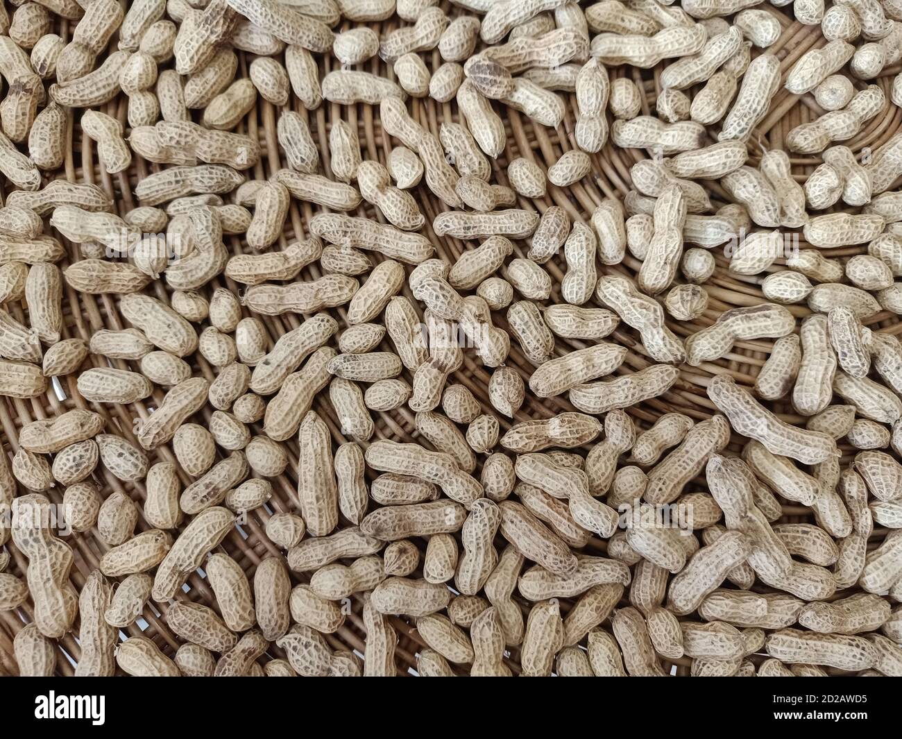 Peanuts drying hi-res stock photography and images - Alamy
