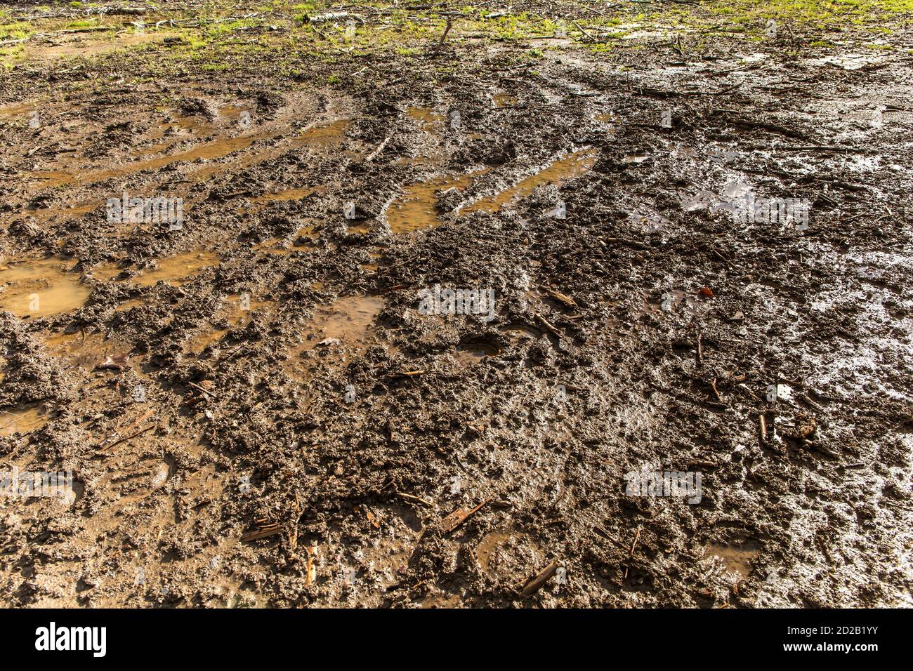 Mud texture background. Muddy road after the rain. Puddles on the road ...