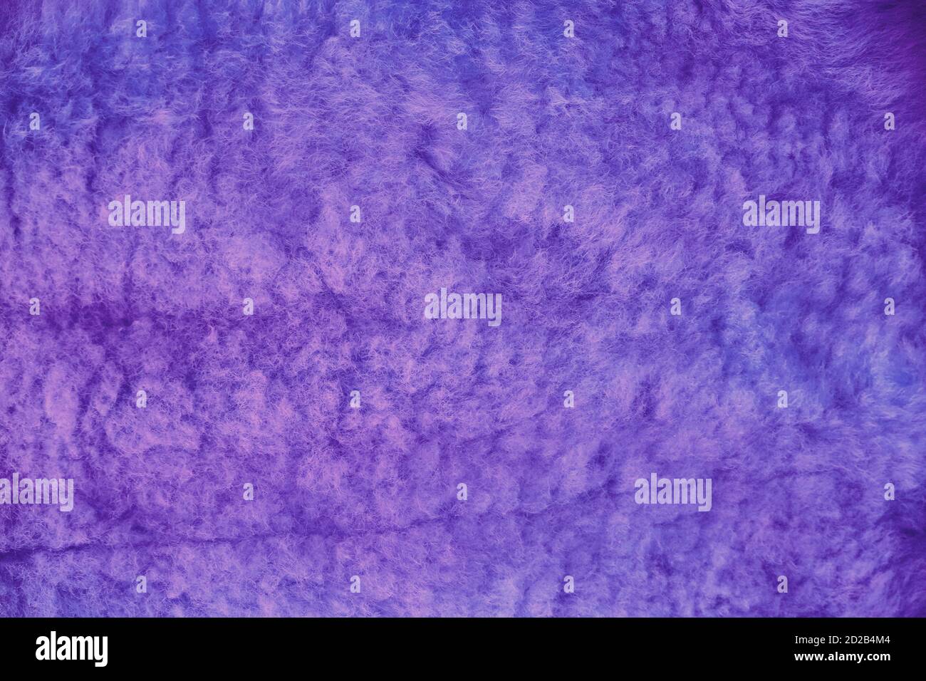 Blue wool sheep texture, fur close-up. Background sheepskin violet ...
