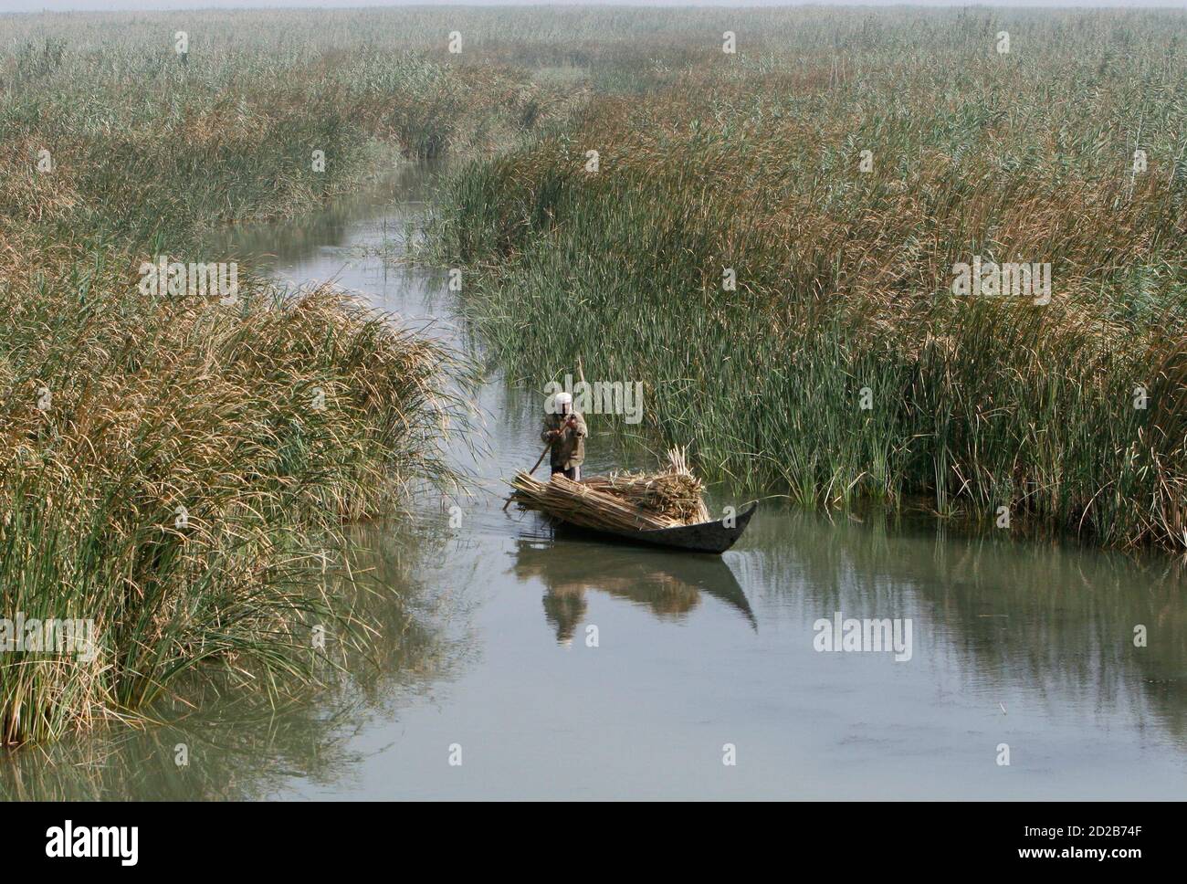 Marsh Arab Man In Reed High Resolution Stock Photography and Images - Alamy