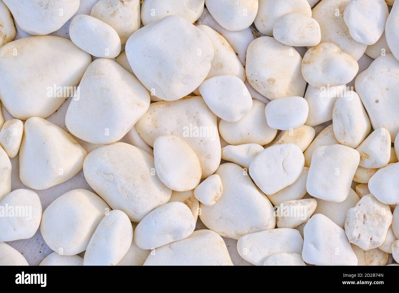 Texture of large white stones. Rounded stone texture. Background in the ...