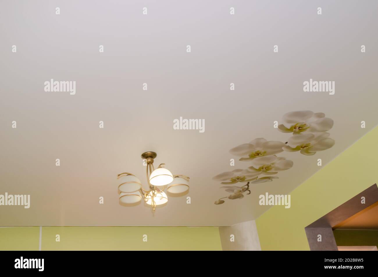 Beautiful stretch ceiling with vintage chandeliers and an Orchid flower ...