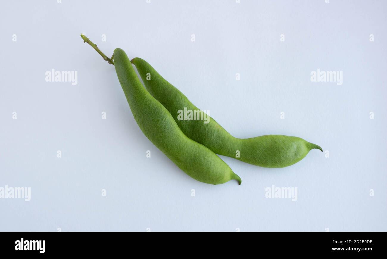 Soybean seeds pod hi-res stock photography and images - Alamy